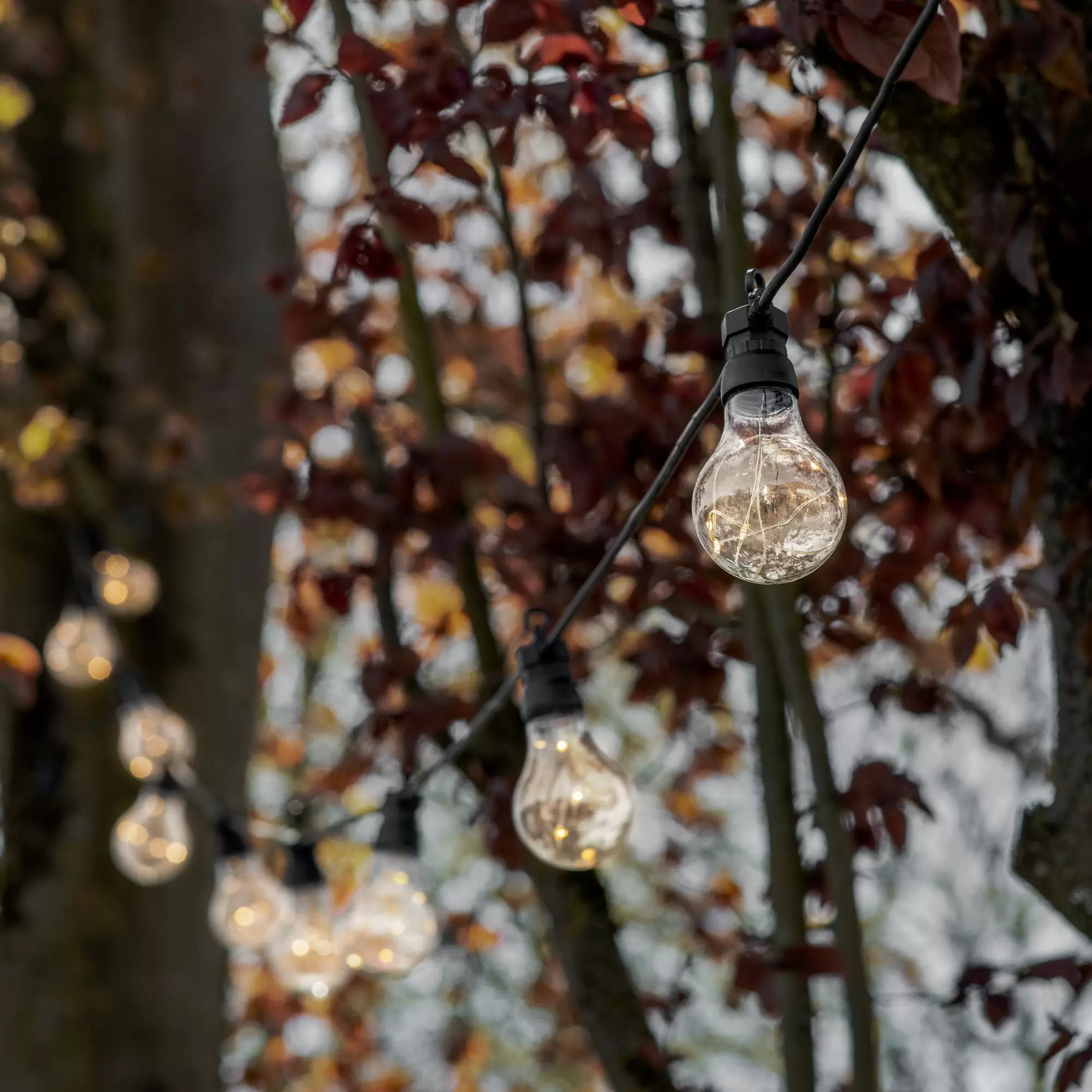 20 Classic Festoon Lights - Extendable - Creative Gardens