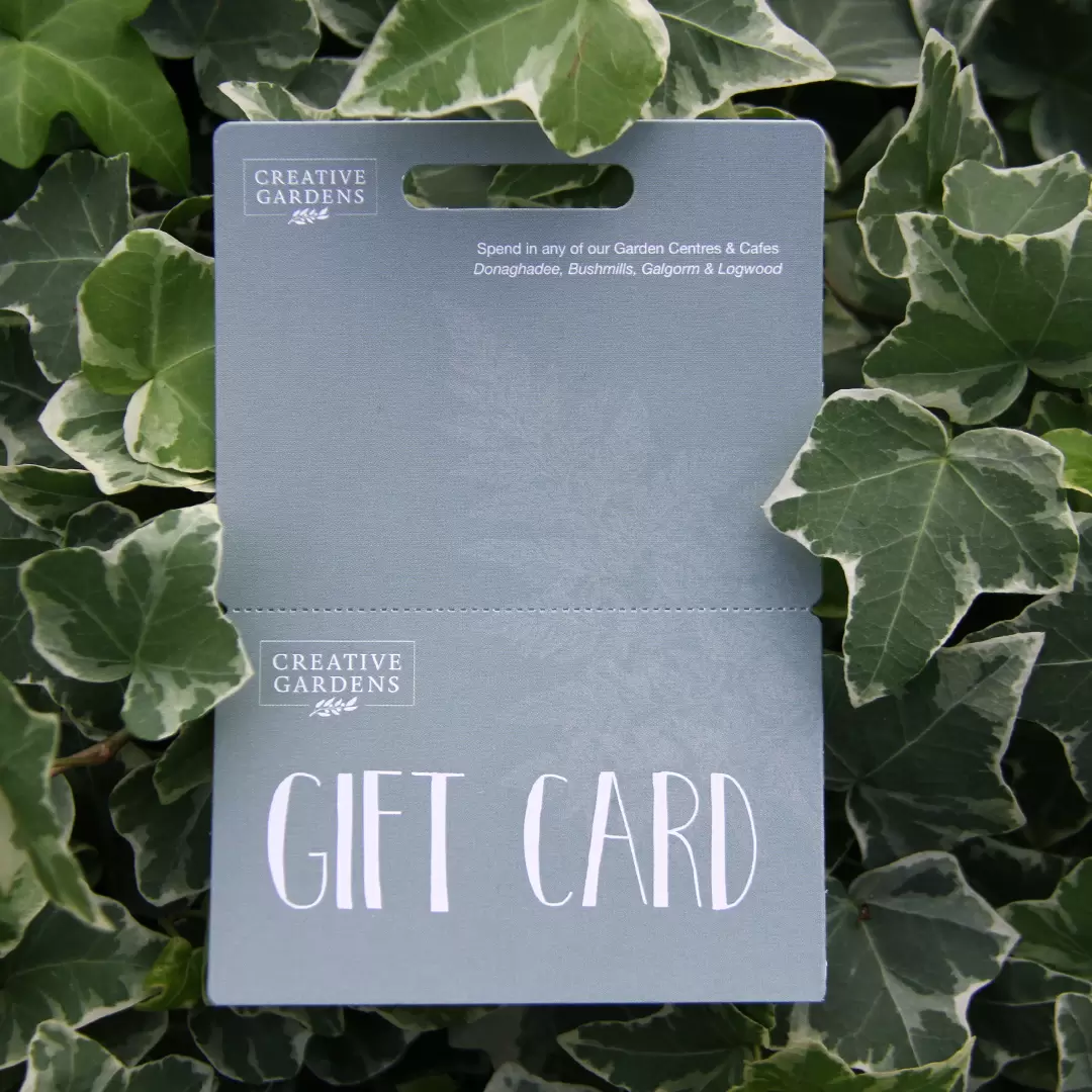 £40 Creative Gardens Gift Card - Teal - Creative Gardens