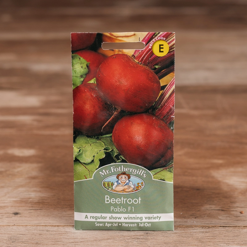 Beetroot Pablo F1 - Creative Gardens
