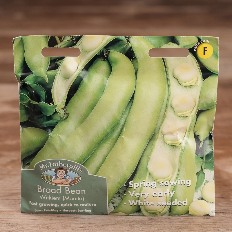 Broad Bean Witkiem (Manita) - Creative Gardens