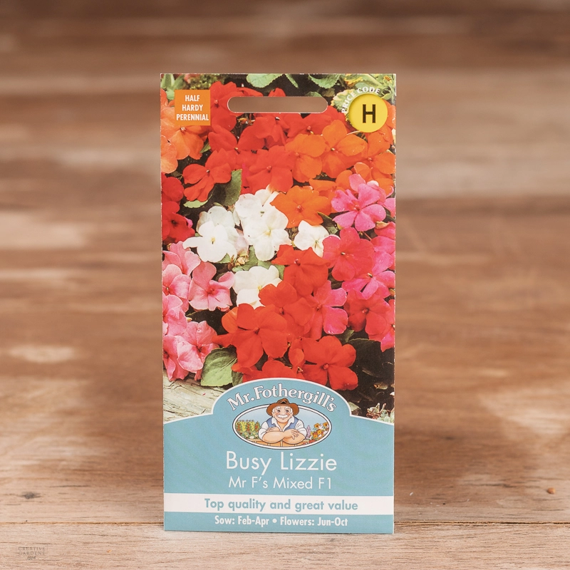 Busy Lizzie Mr F'S Mix F1 - Creative Gardens