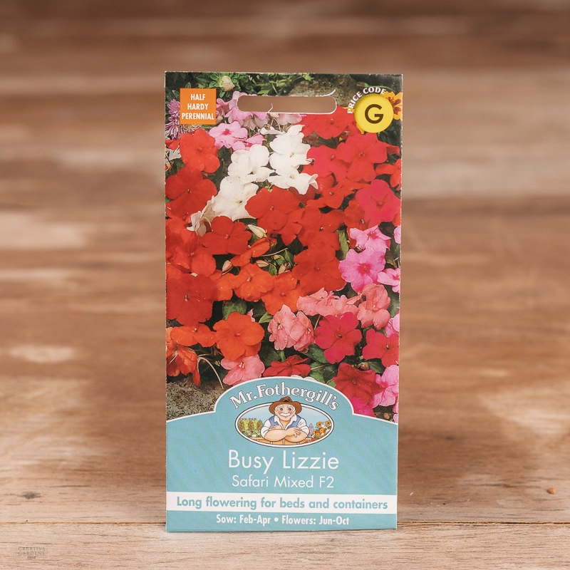 Busy Lizzie Safari Mix F2 - Creative Gardens