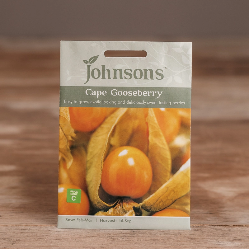 Cape Gooseberry - Creative Gardens