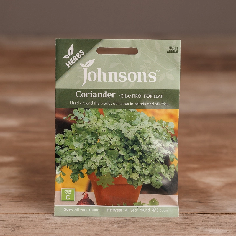 Coriander Cilantro For Leaf - Creative Gardens