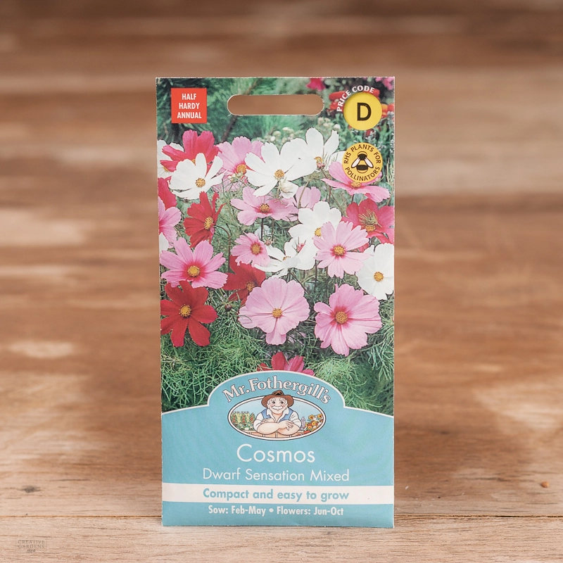 Cosmos Dwarf Sensation Mix - Creative Gardens