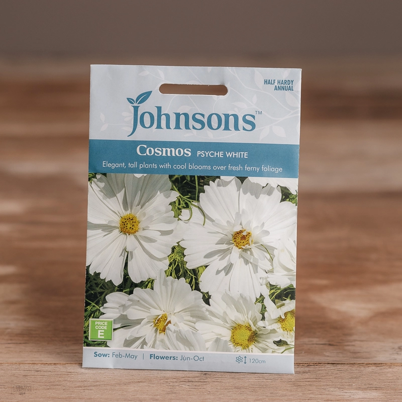 Cosmos Psyche White - Creative Gardens