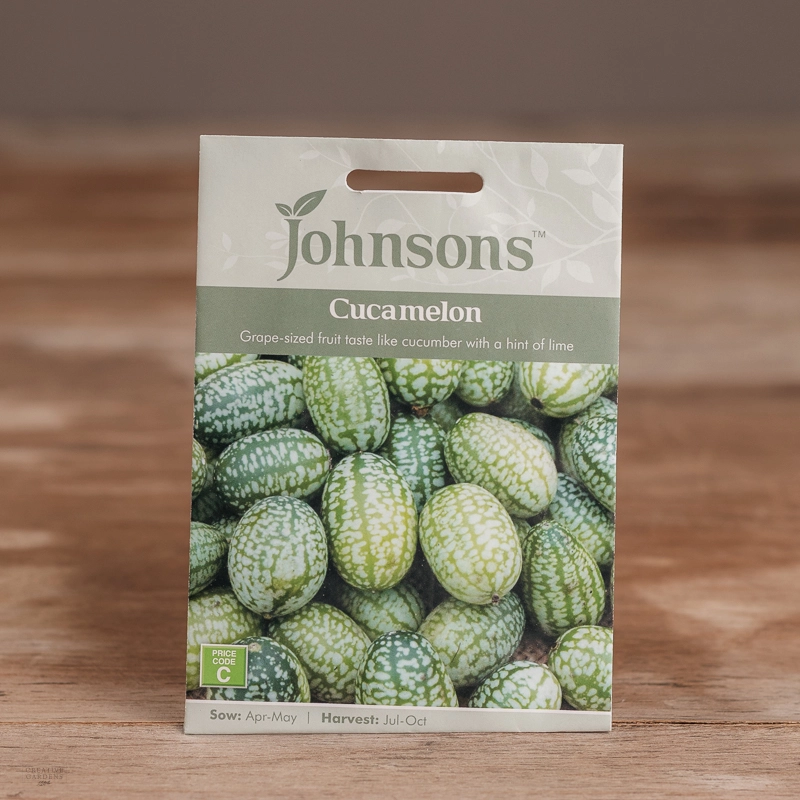 Cucamelon - Creative Gardens