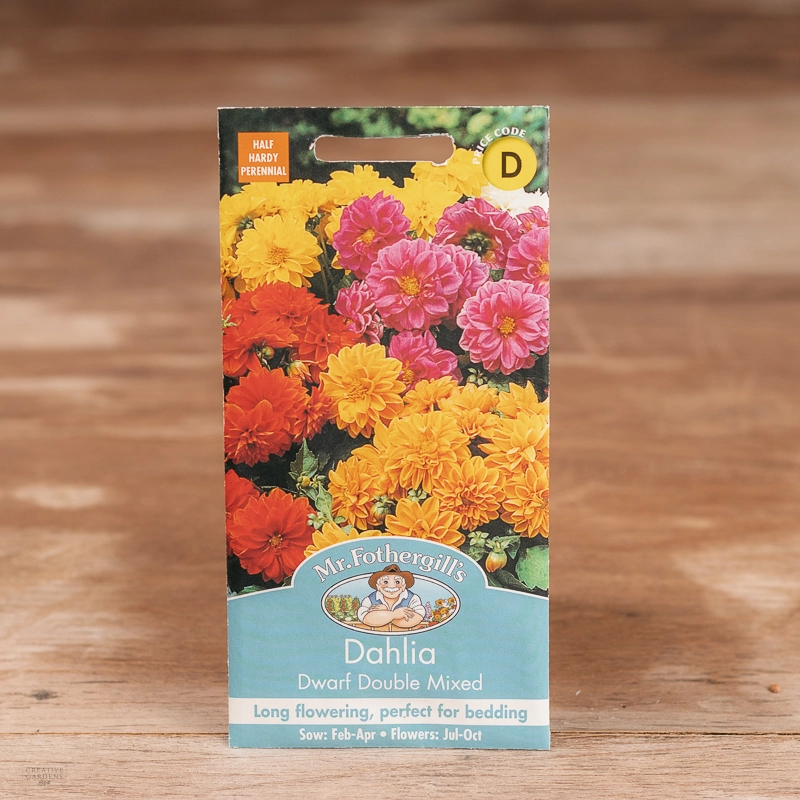 Dahlia Dwarf Double Mix - Creative Gardens