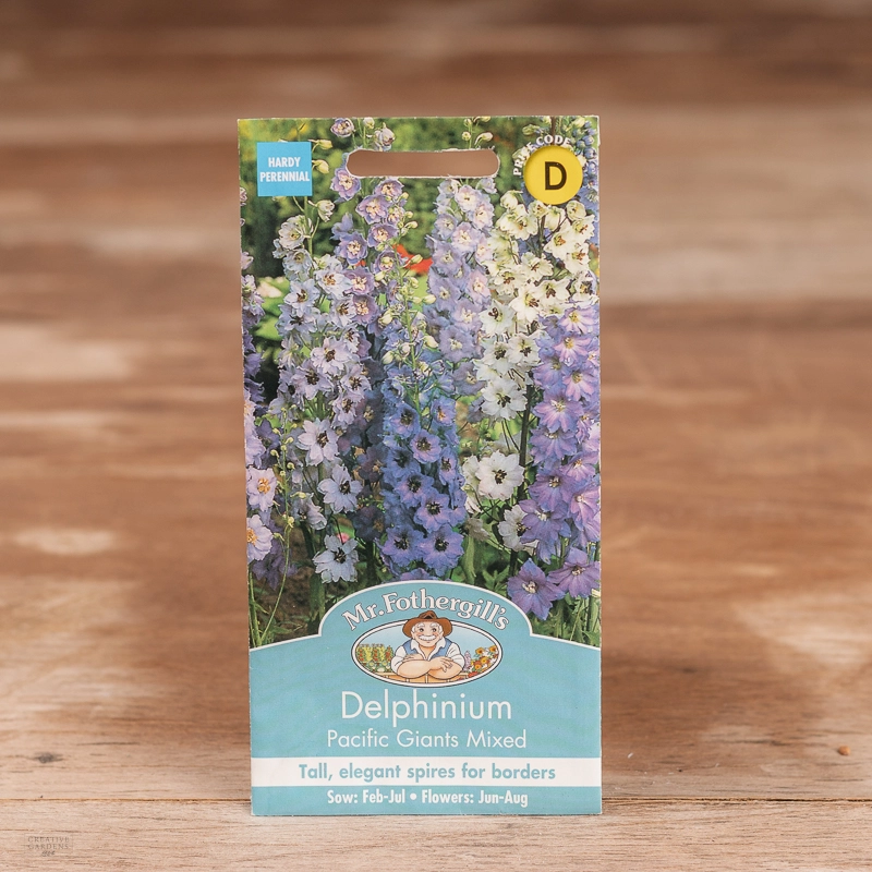 Delphinium Pacific Giants Mixed - Creative Gardens