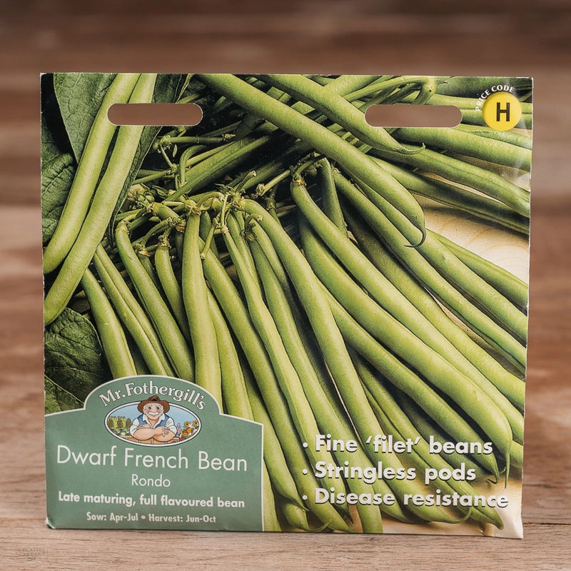 Dwarf French Bean Rondo - Creative Gardens