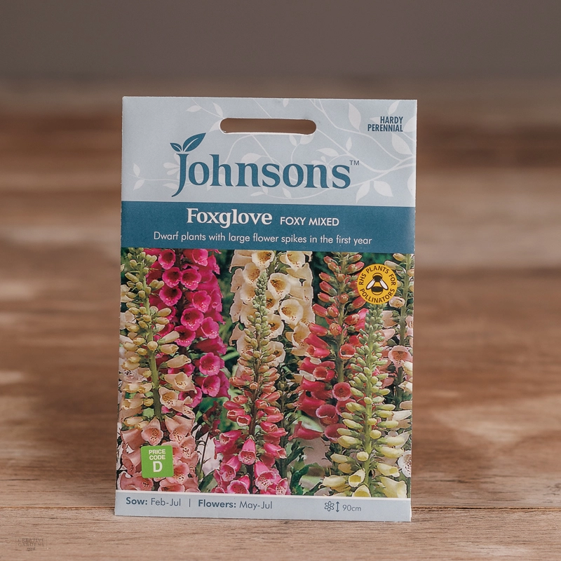 Foxglove Foxy Mix - Creative Gardens