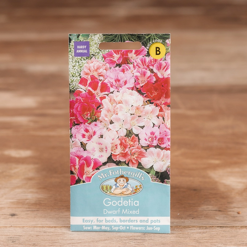 Godetia Dwarf Mix - Creative Gardens
