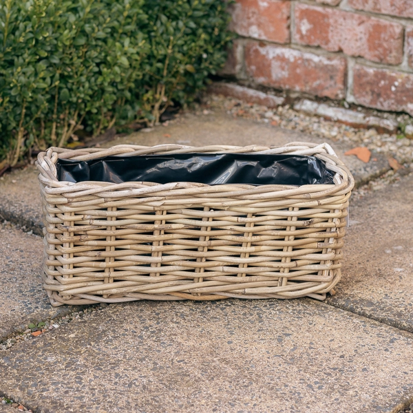 Grey Willow Window Box 40cm - Creative Gardens