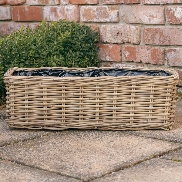Grey Willow Window Box 60cm - Creative Gardens
