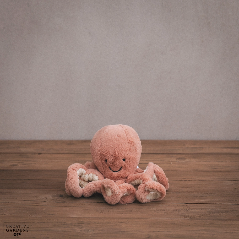 Jelly Cat Odell Octopus - Little - Creative Gardens