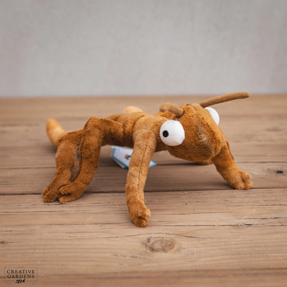 Jelly Cat Stanley Stick Insect - Creative Gardens