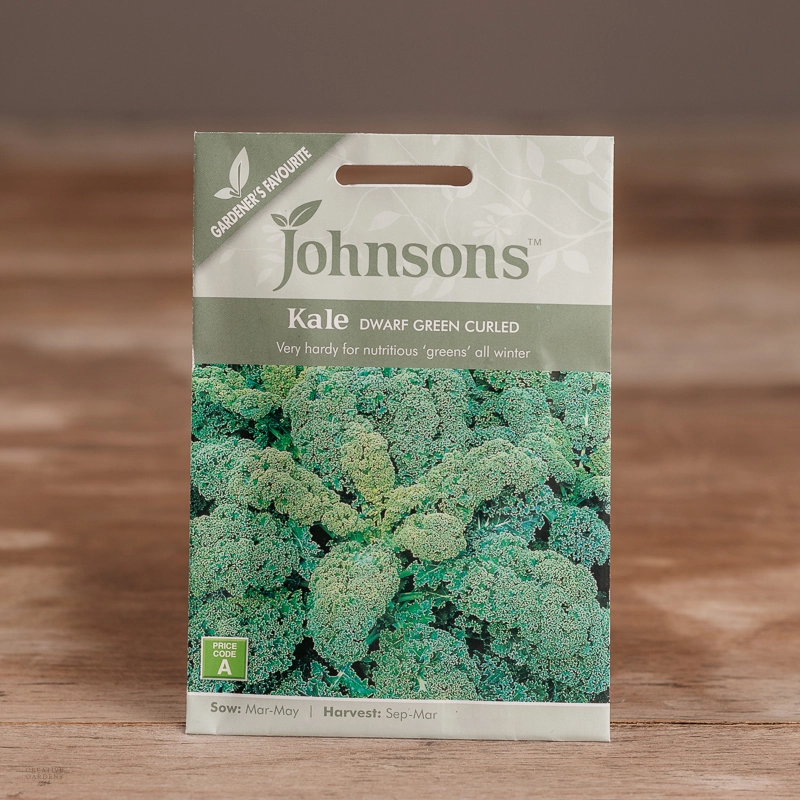 Kale Dwarf Green Curled - Creative Gardens