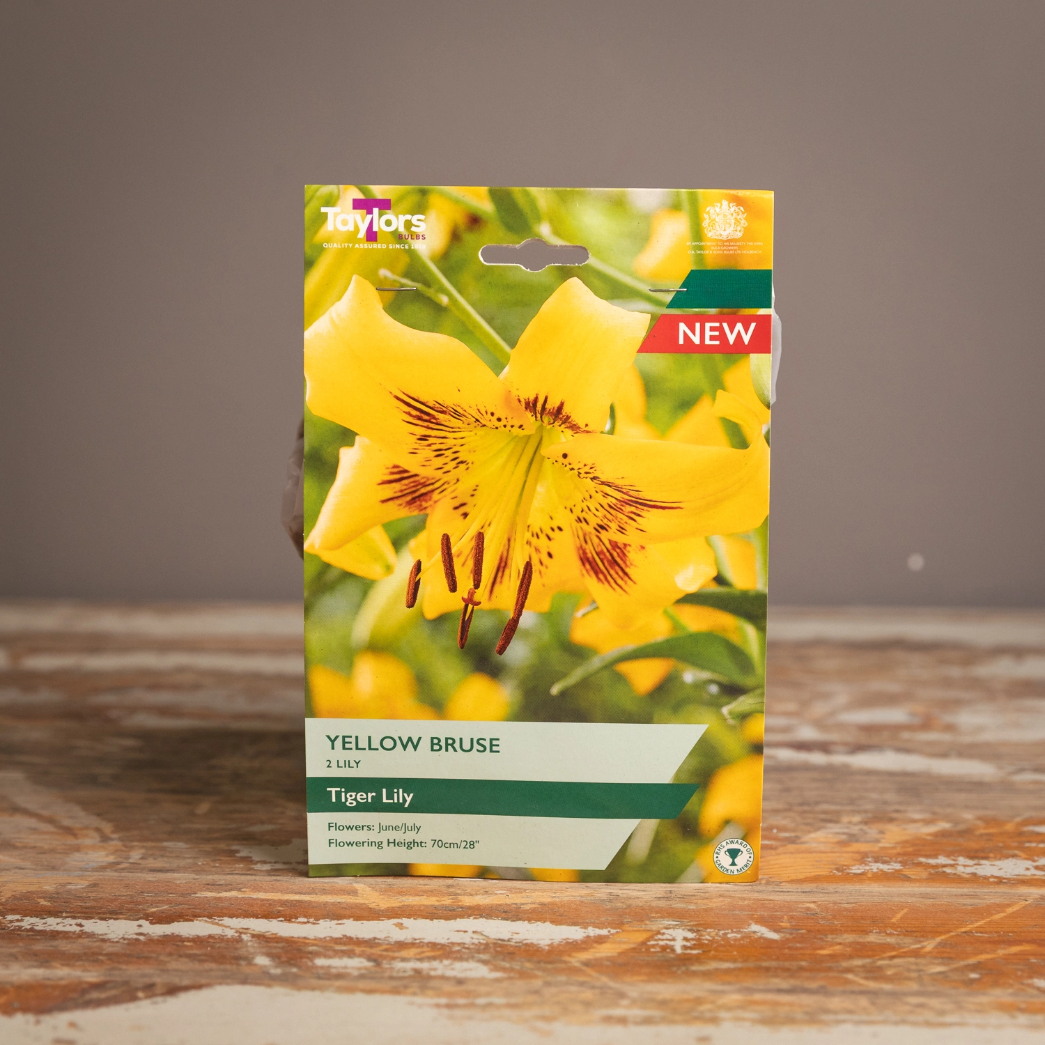 Lily Yellow Bruse - Creative Gardens