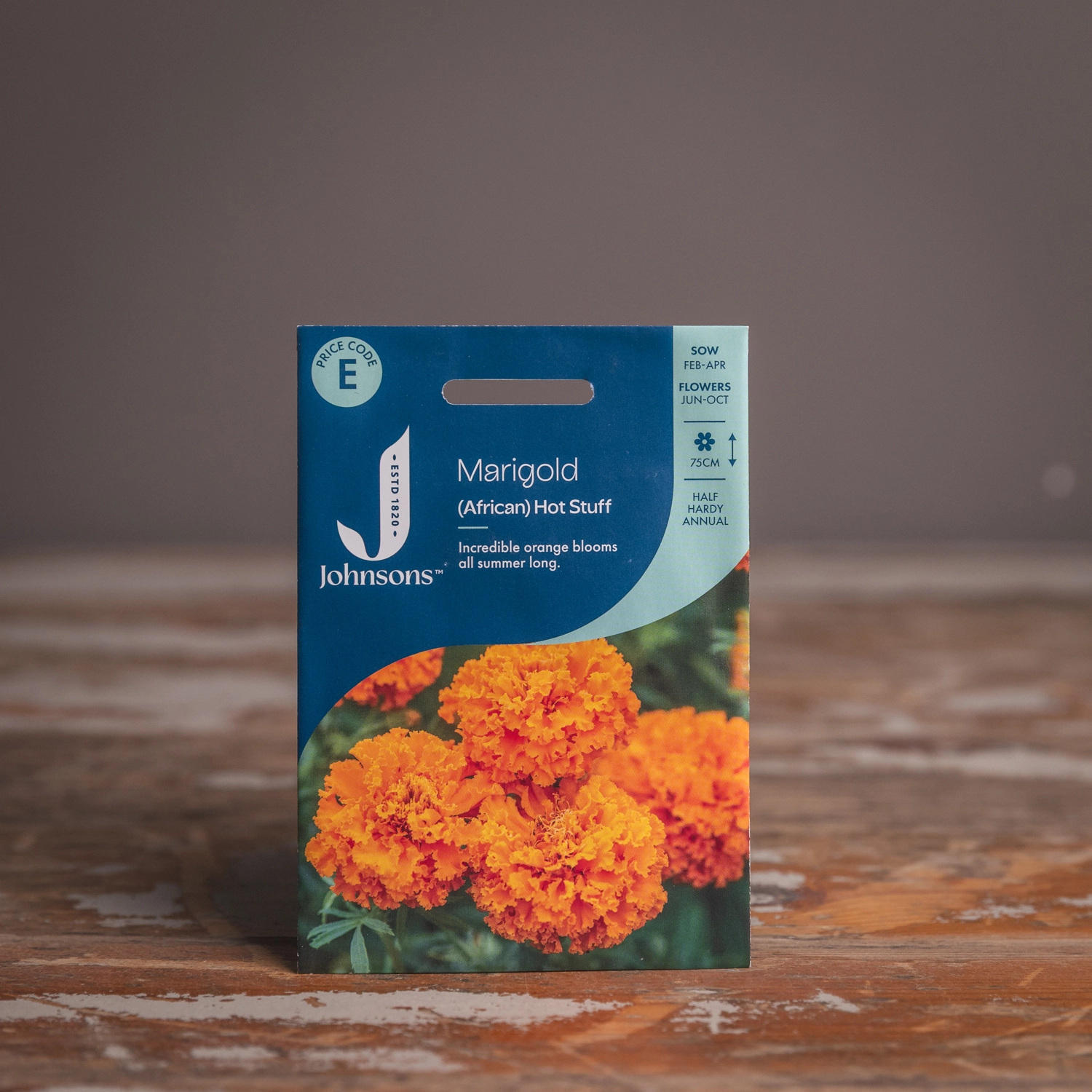 Marigold (African) Hot Stuff - Creative Gardens