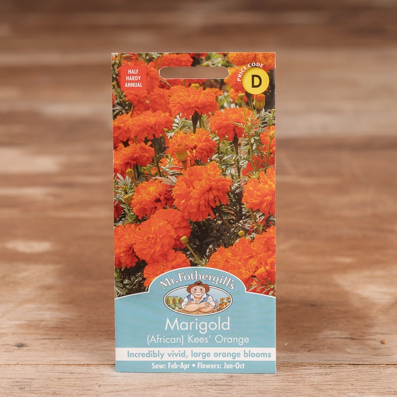 Marigold (African) Kees' Orange - Creative Gardens