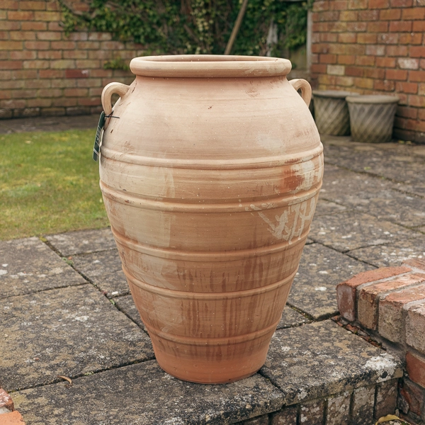 Himalaya Sultan Urn - 3 Assorted - Creative Gardens