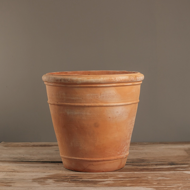 Mims Terra Large Flower 50cm - Creative Gardens