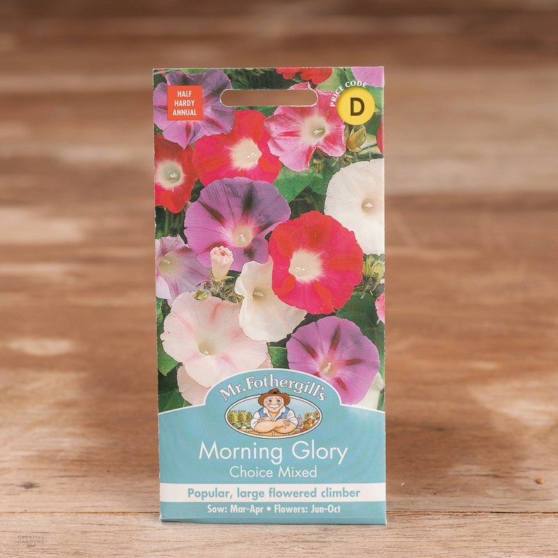 Morning Glory Choice Mix - Creative Gardens