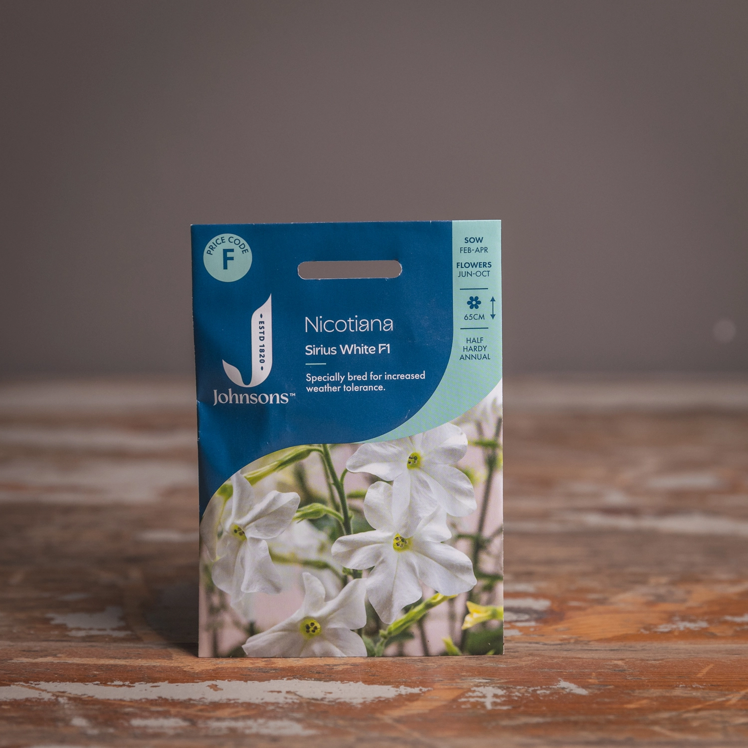 Nicotiana Sirius White F1 - Creative Gardens