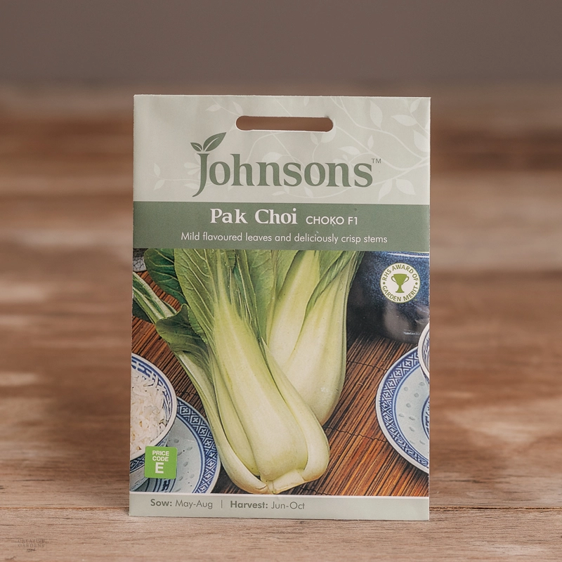Pak Choi Choko F1 - Creative Gardens