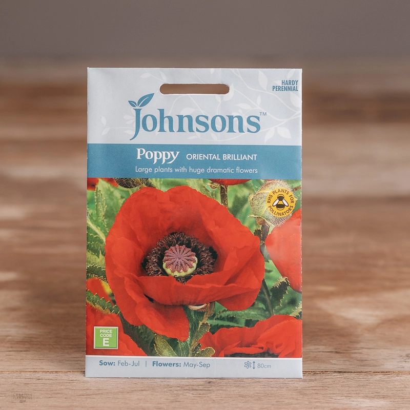 Poppy Oriental Brilliant - Creative Gardens