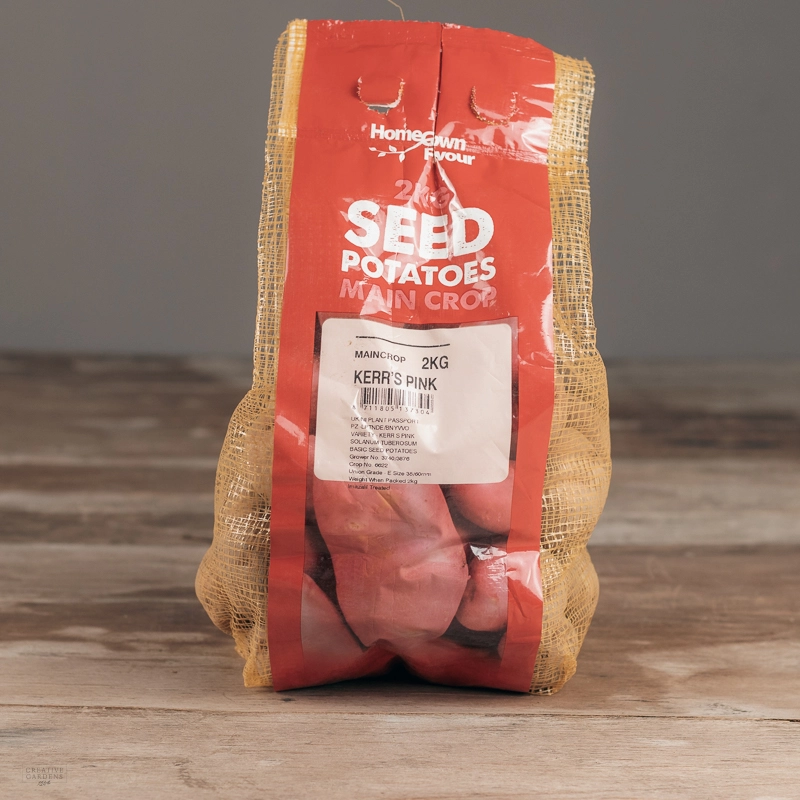 Potato Kerrs Pink 2KG - Creative Gardens
