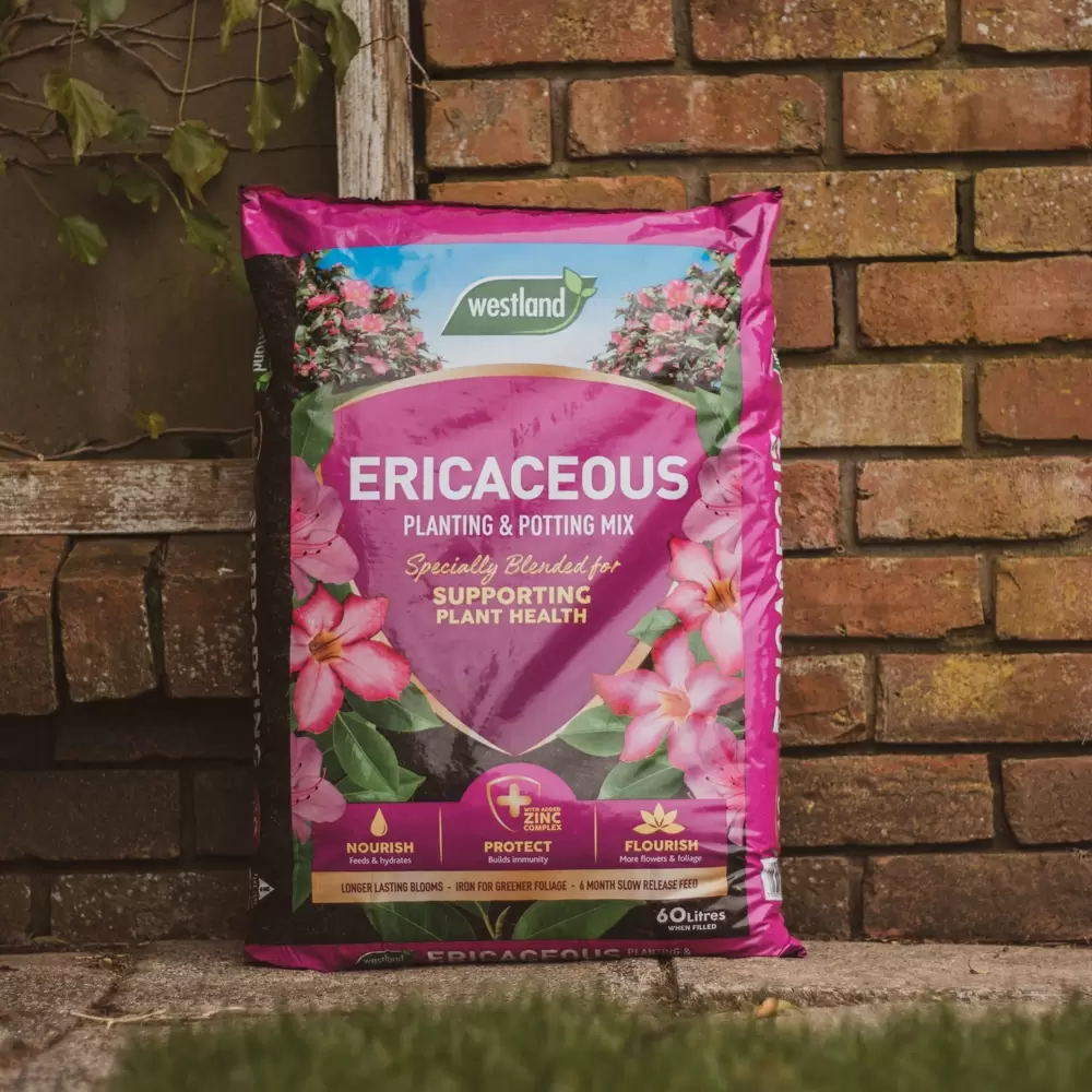 Ericaceous Planting & Potting Mix - Creative Gardens
