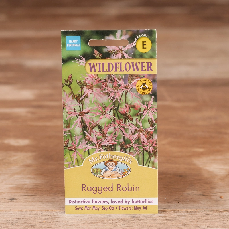 Ragged Robin - Creative Gardens