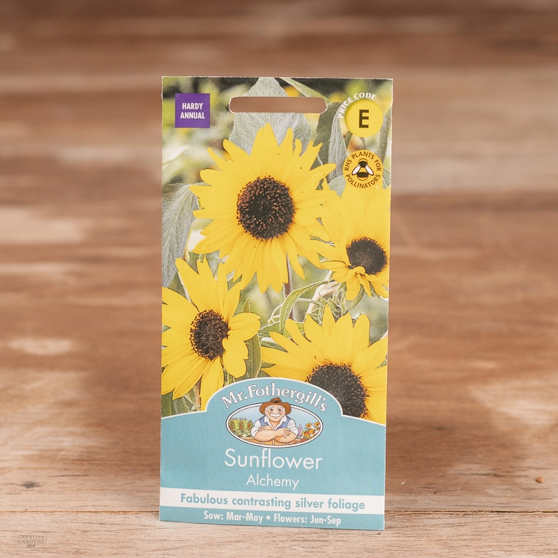 Sunflower Alchemy - Creative Gardens
