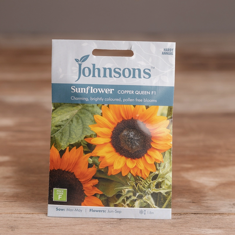 Sunflower Copper Queen F1 - Creative Gardens