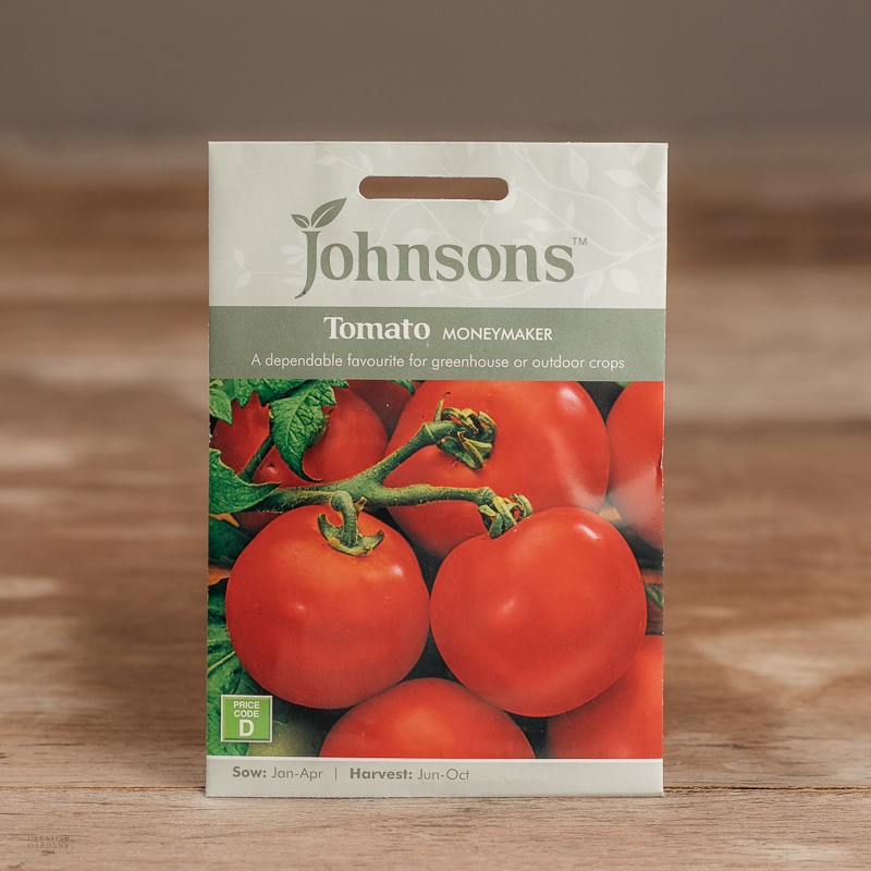Tomato Moneymaker - Creative Gardens