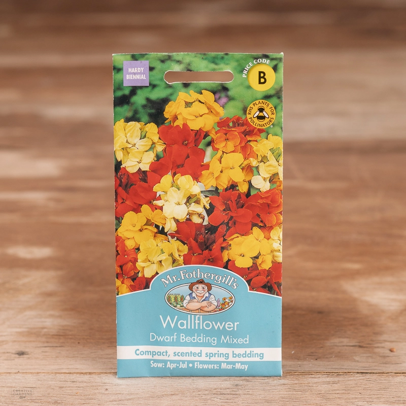 Wallflower Dwarf Bedding Mix - Creative Gardens