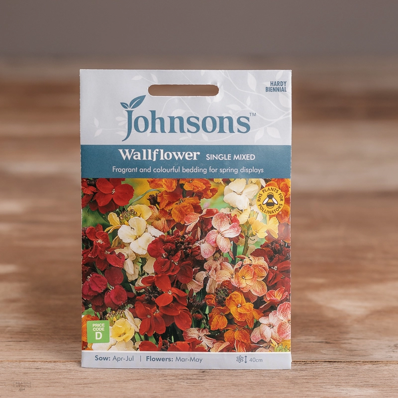 Wallflower Single Mix - Creative Gardens